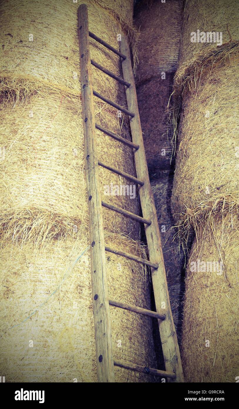 old wood ladder in the barn of the farm Stock Photo - Alamy