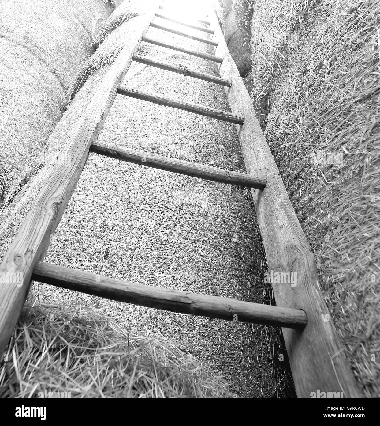 High barn farm hi-res stock photography and images - Alamy