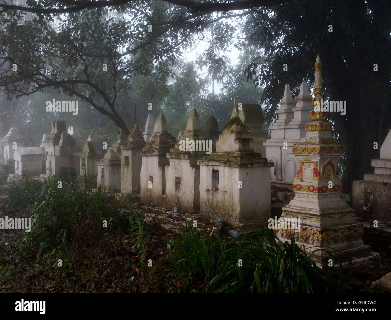 Phongsali hi-res stock photography and images - Alamy