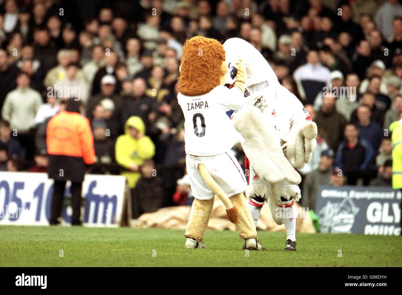 Millwall mascot zampa lion hi-res stock photography and images - Alamy