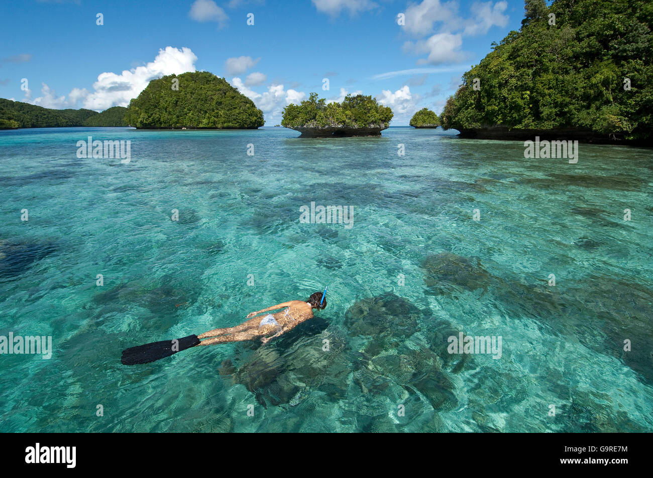 Snorkeler, lagoon, Palau, Micronesia, Bismarck Archipelago Stock Photo ...
