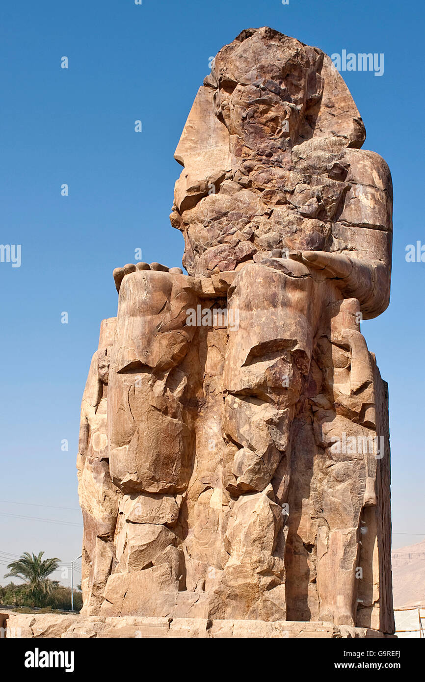 Colossi of Memnon, statue of Pharaoh Amenhotep III, Luxor, Egypt / el ...