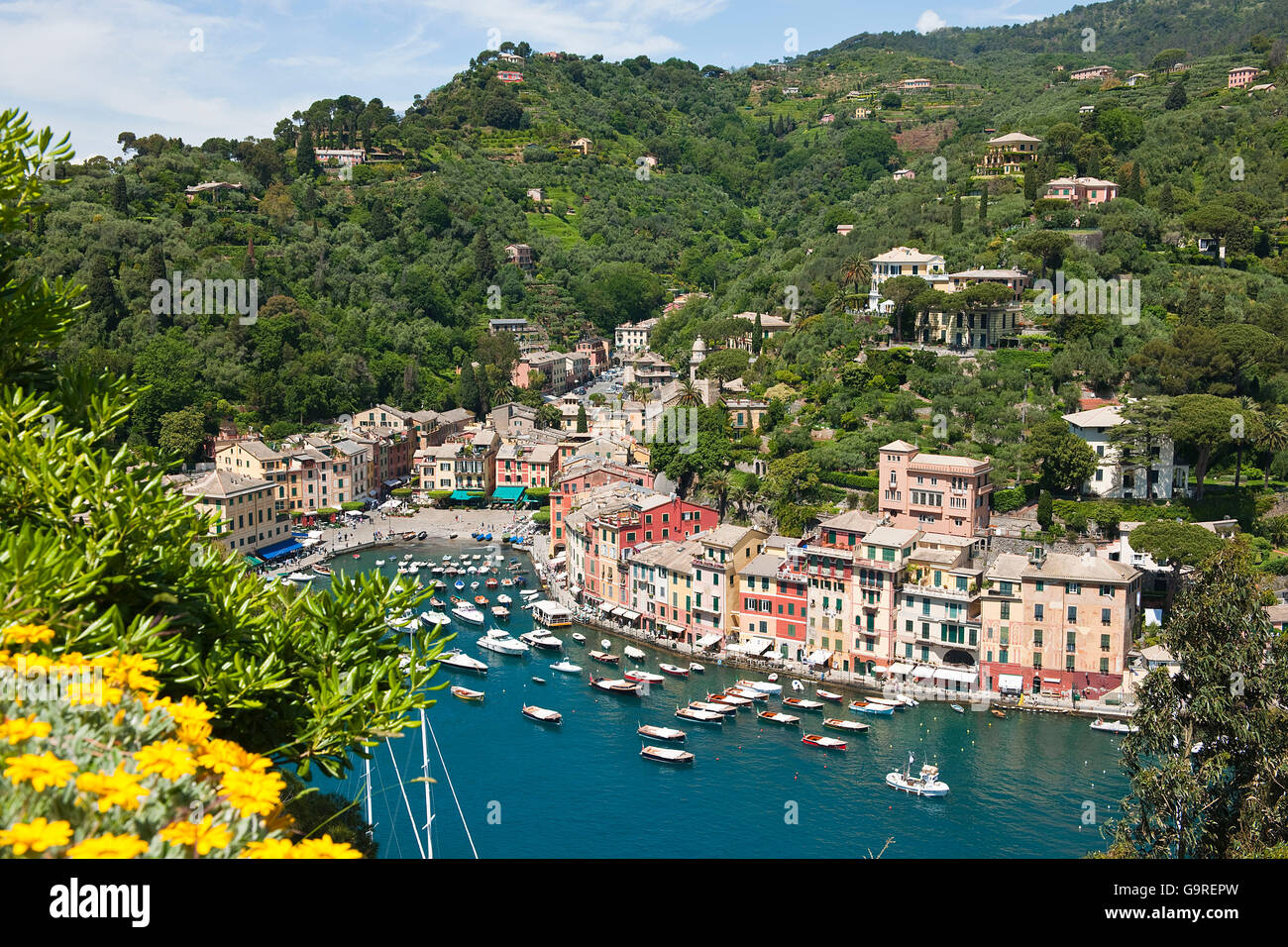Harbour, view from castello Brown, Portofino, Ligury, Italy Stock Photo ...
