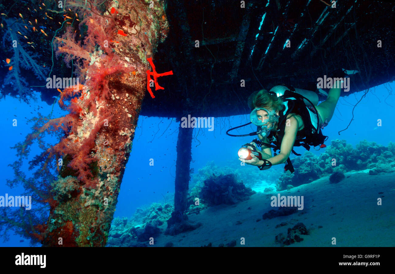 Diver at Precontinent II, Cousteau house, Shaab Rumi reef, Sudan Stock ...