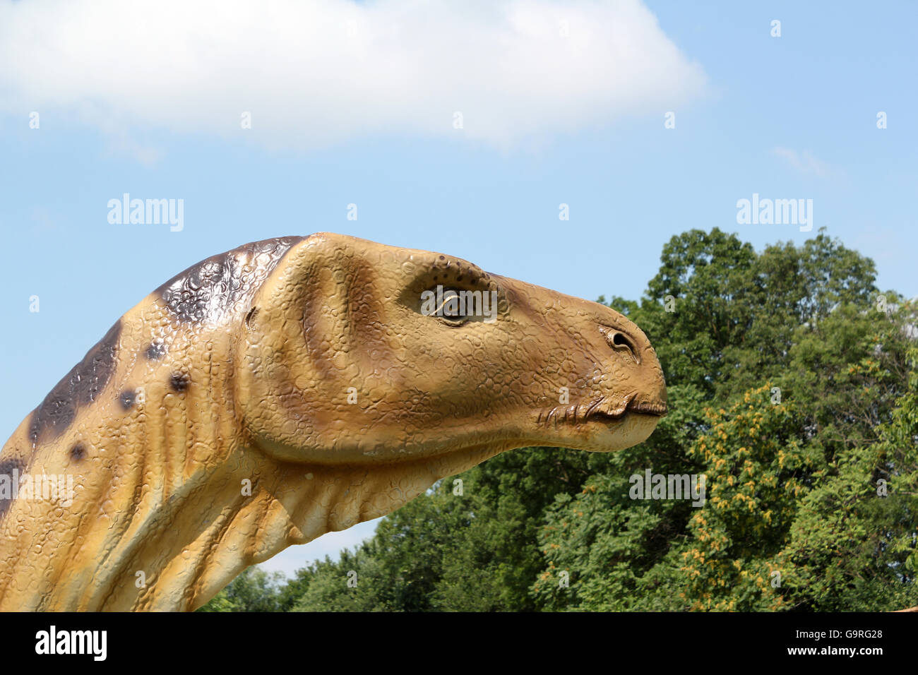 Dinosaur head hi-res stock photography and images - Alamy