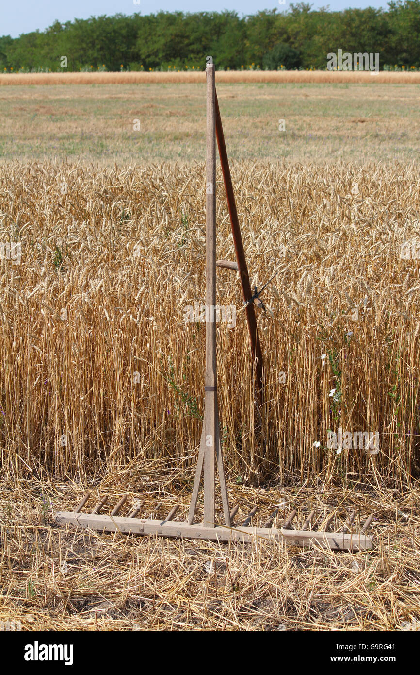 old wooden rake Stock Photo - Alamy