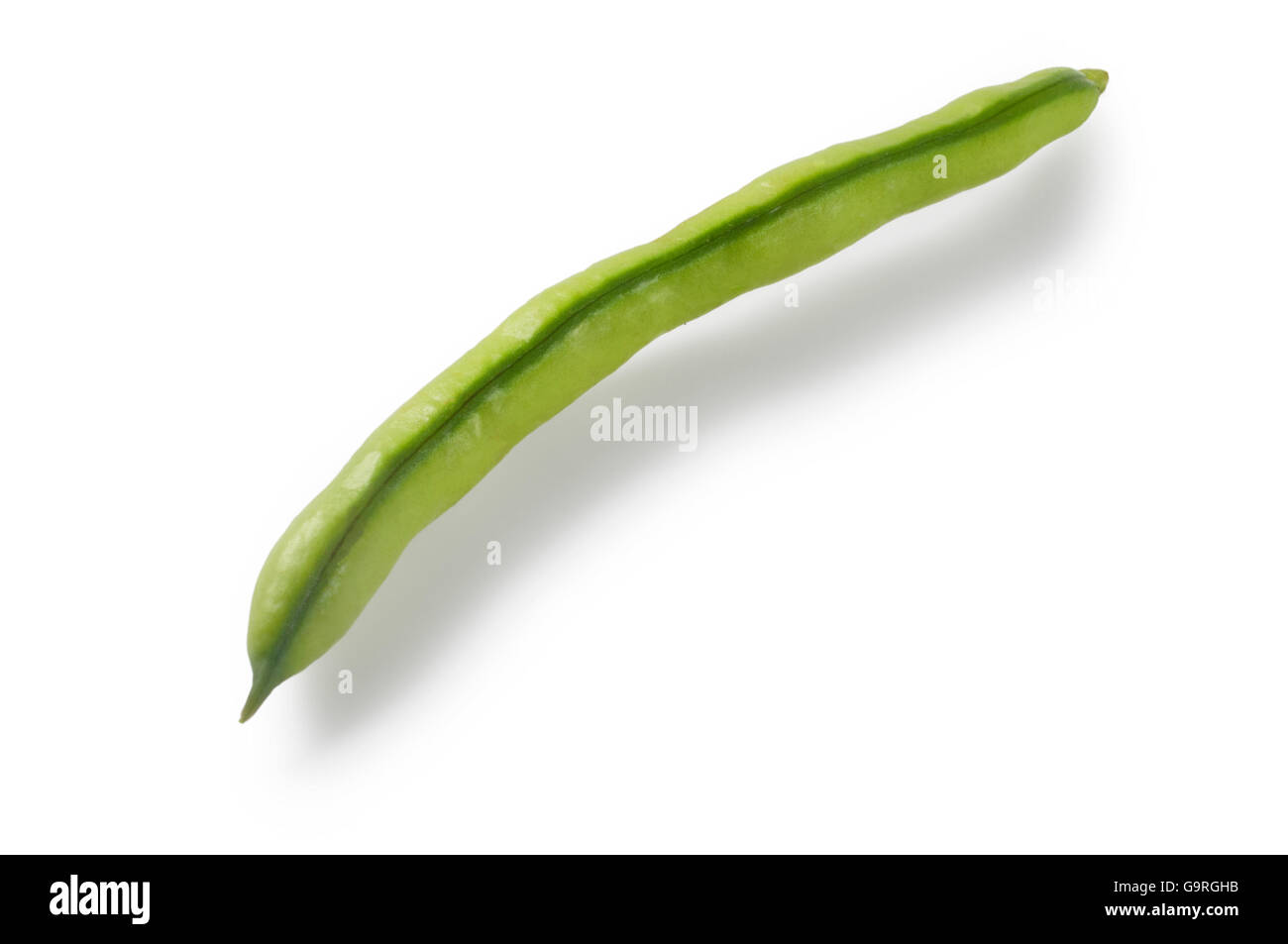 Single broad bean hi-res stock photography and images - Alamy