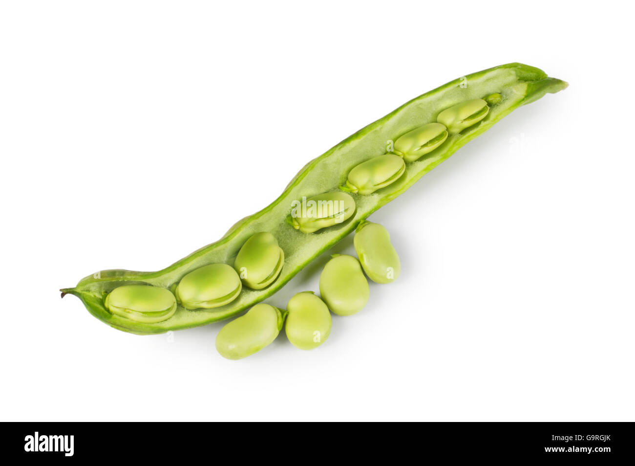 Single broad bean hi-res stock photography and images - Alamy