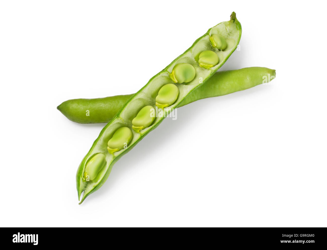 Broad bean pod cut out hi-res stock photography and images - Alamy