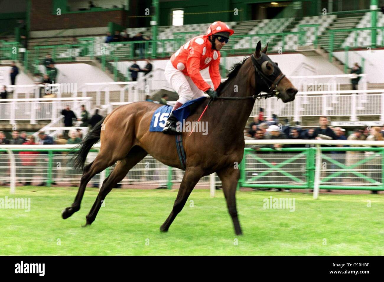 Horse Racing - Brighton Races Stock Photo - Alamy