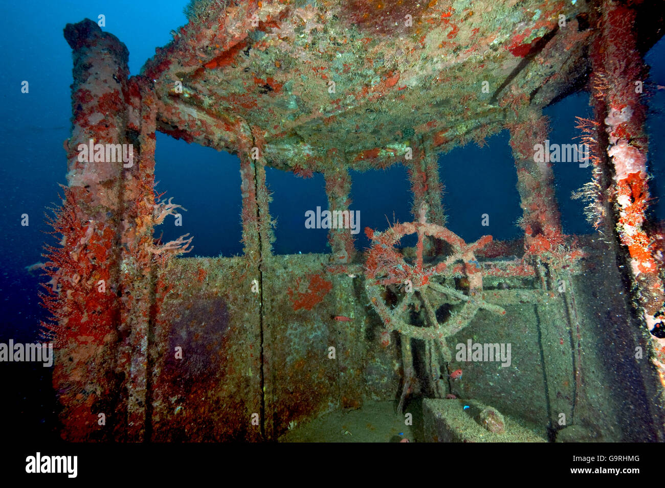 Tugboat, steering wheel, wreckage, shipwreck, mangrove lagoon ...