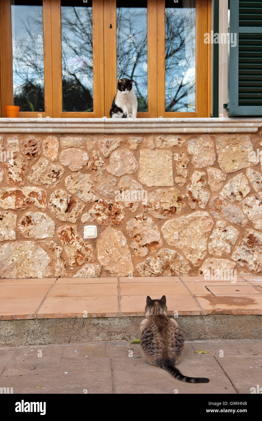 Watching each other hi-res stock photography and images - Alamy