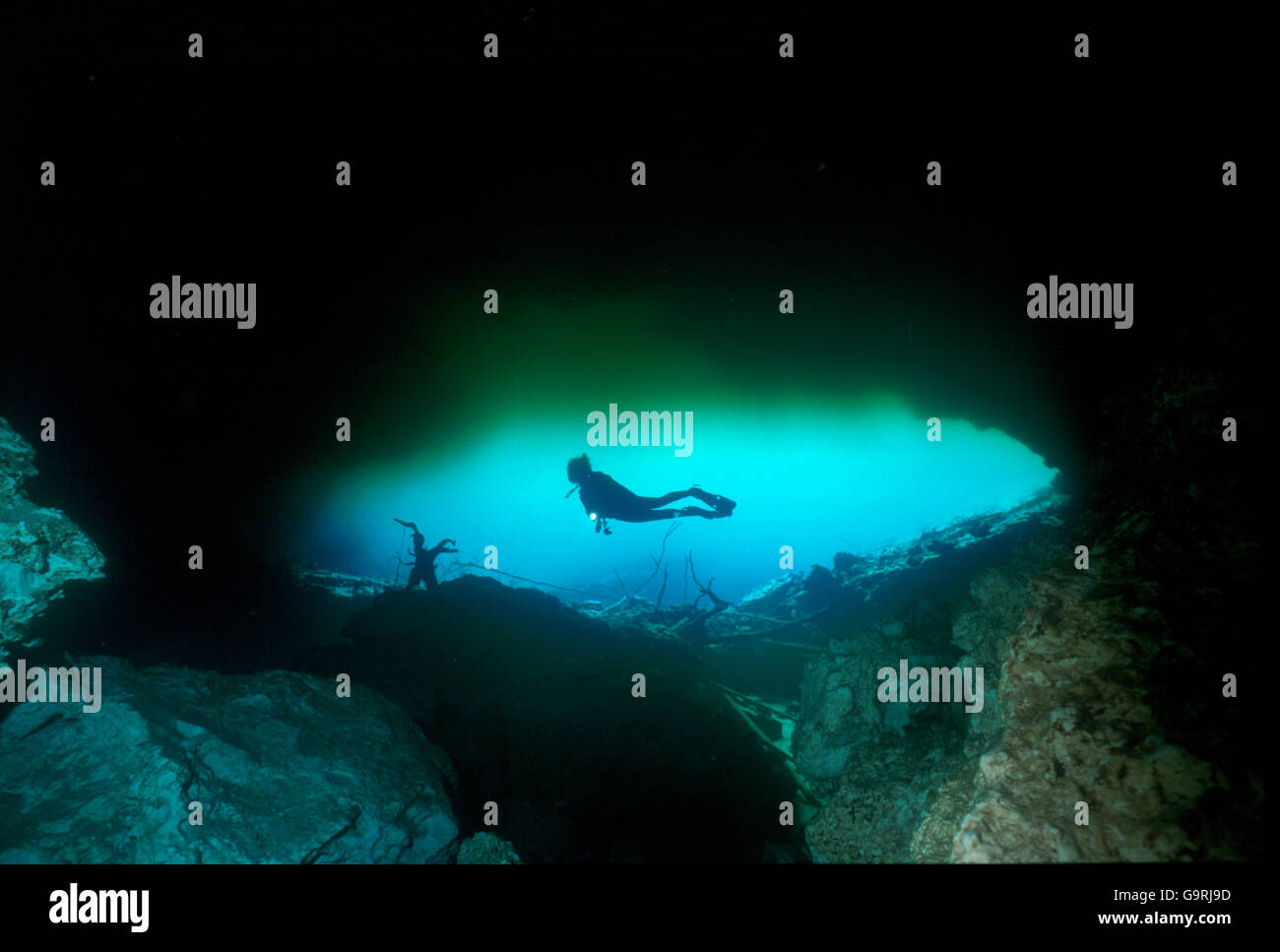 Scuba Diver in Freshwater-Cave Laguna Pepe, cenote, Punta Cana ...