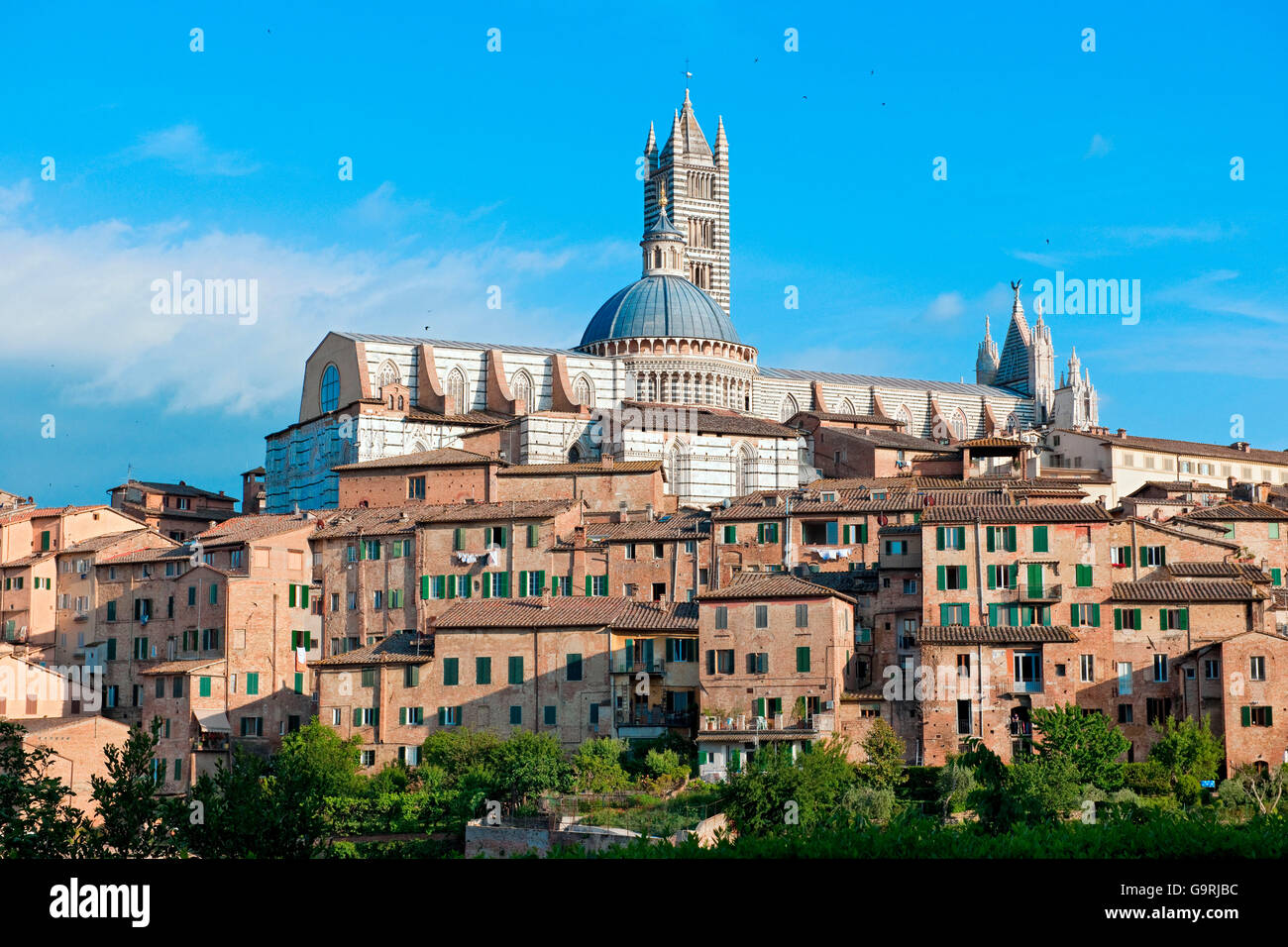 Siena photos hi-res stock photography and images - Alamy