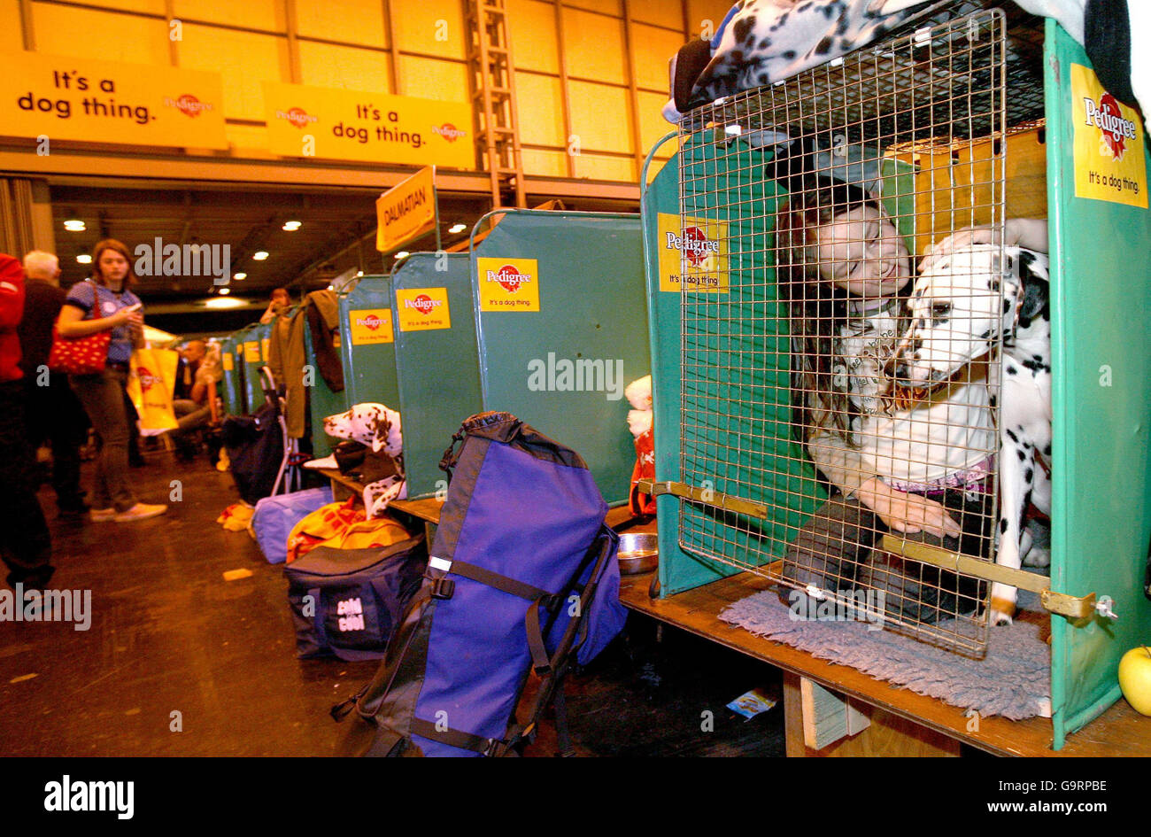 Crufts 2007 hi-res stock photography and images - Alamy