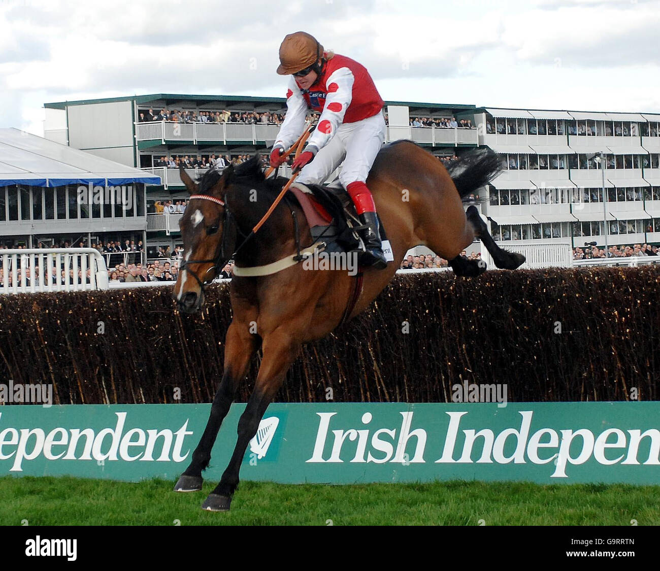 Jockey robert thornton hi-res stock photography and images - Alamy