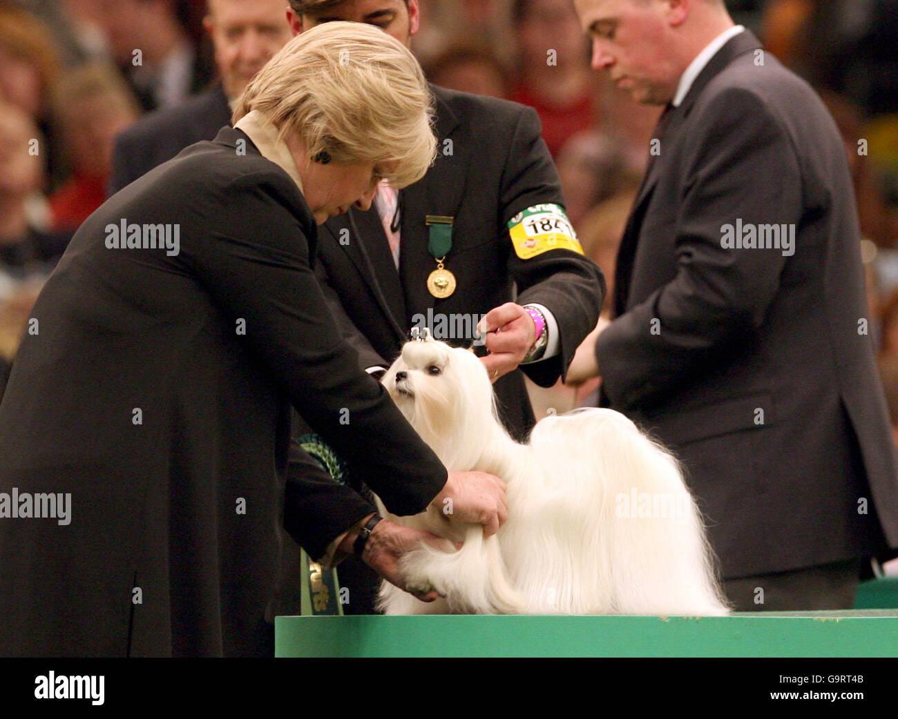 Crufts 2007 hi-res stock photography and images - Alamy