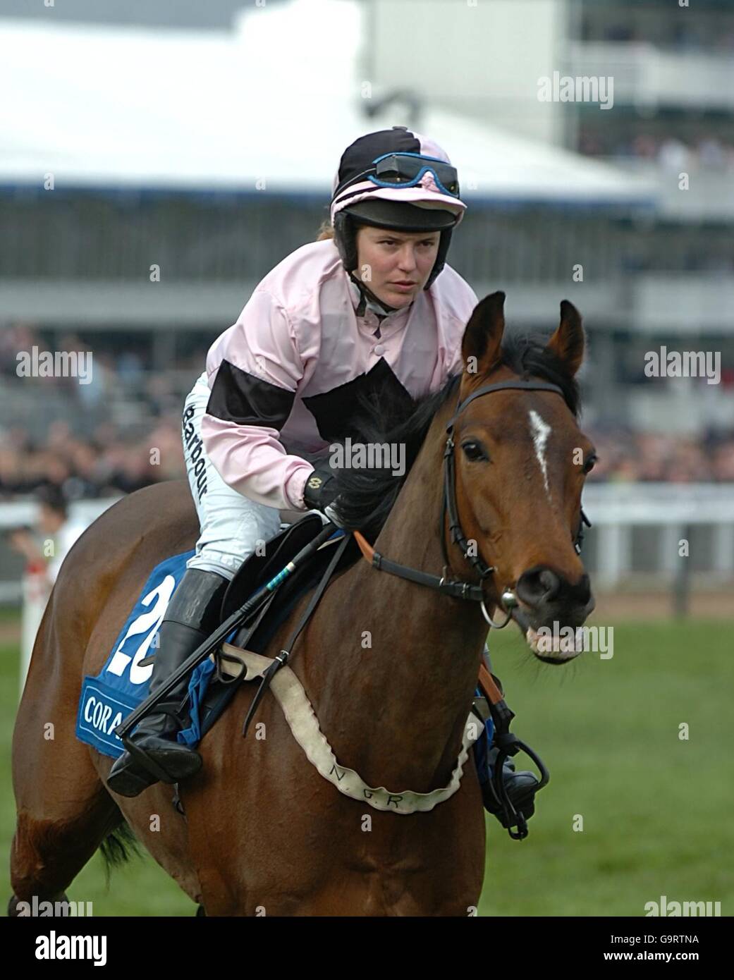 Rayshan ridden by Miss R Davidson going to post in the Coral Cup ...