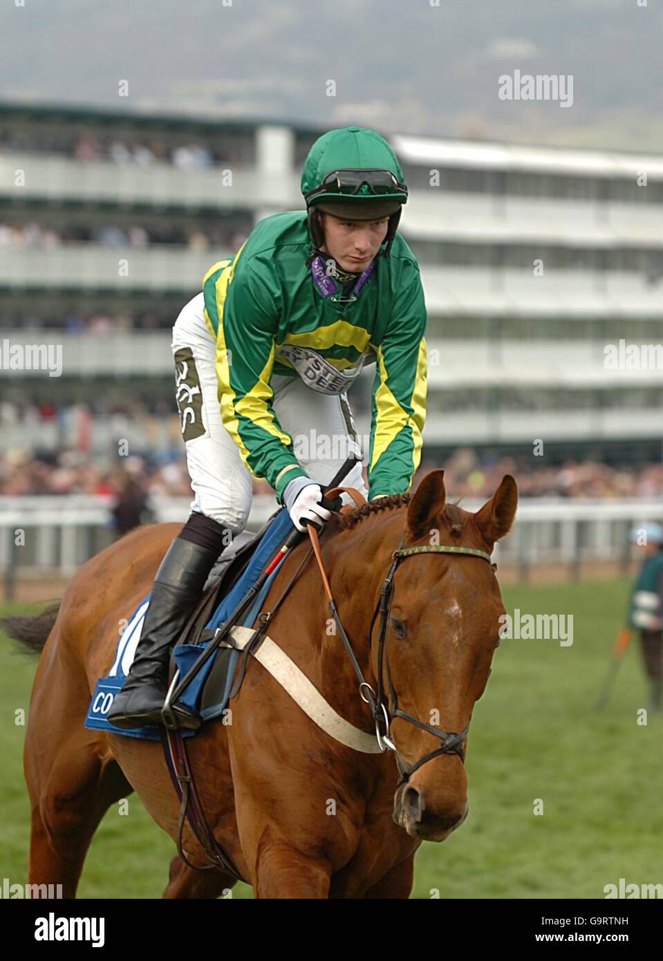 Copsale Lad ridden by Marcus Foley going to post in the Coral Cup ...