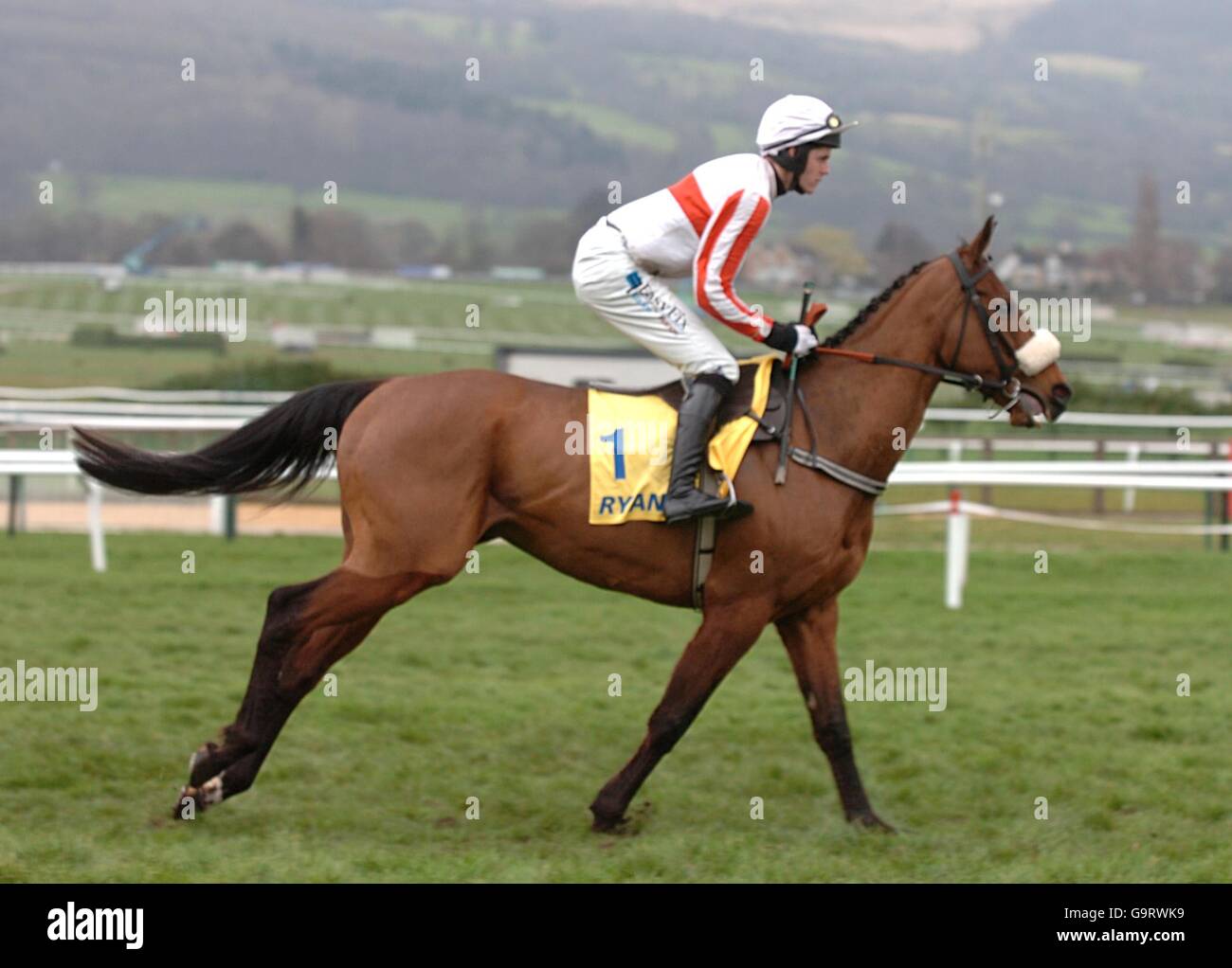 Hi Cloy ridden by Andrew McNamara going to post in the Ryanair Chase ...