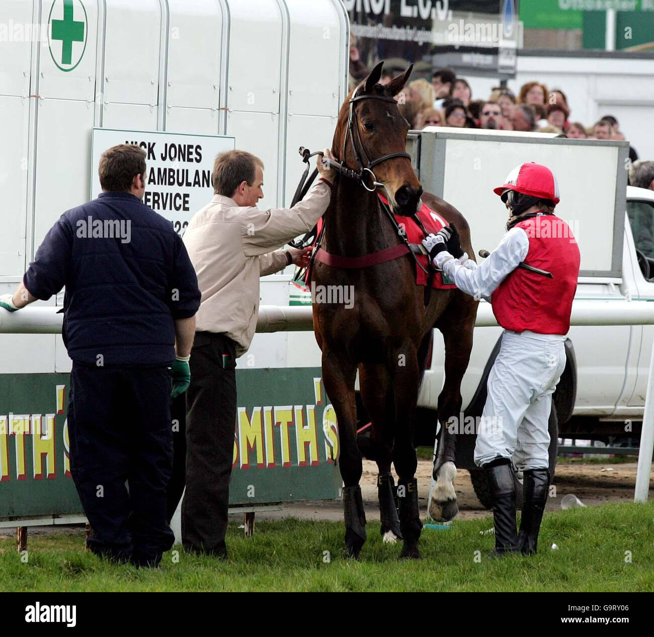 Horse injury grand national hi-res stock photography and images - Alamy