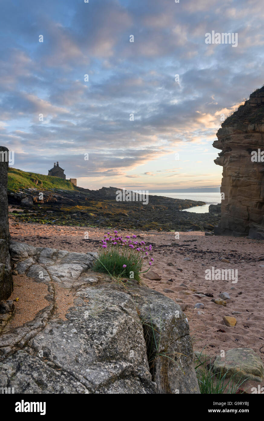 Small beach at Rumbling Kern near Howick Stock Photo - Alamy
