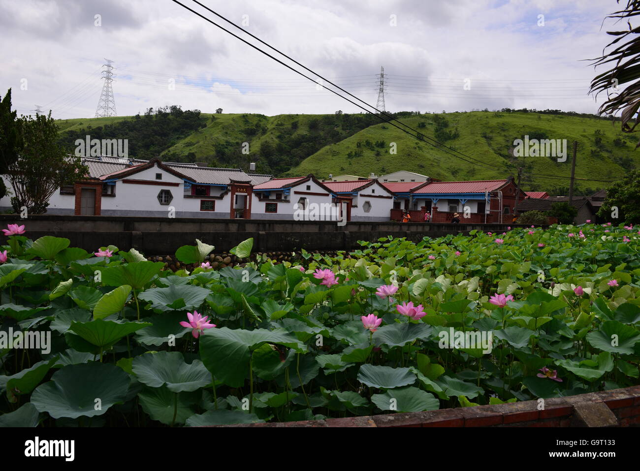 view of beauty Stock Photo - Alamy