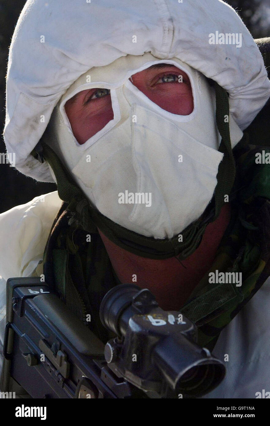 Royal Marine Reserve Commandos from around the UK in Vinje, Southern ...