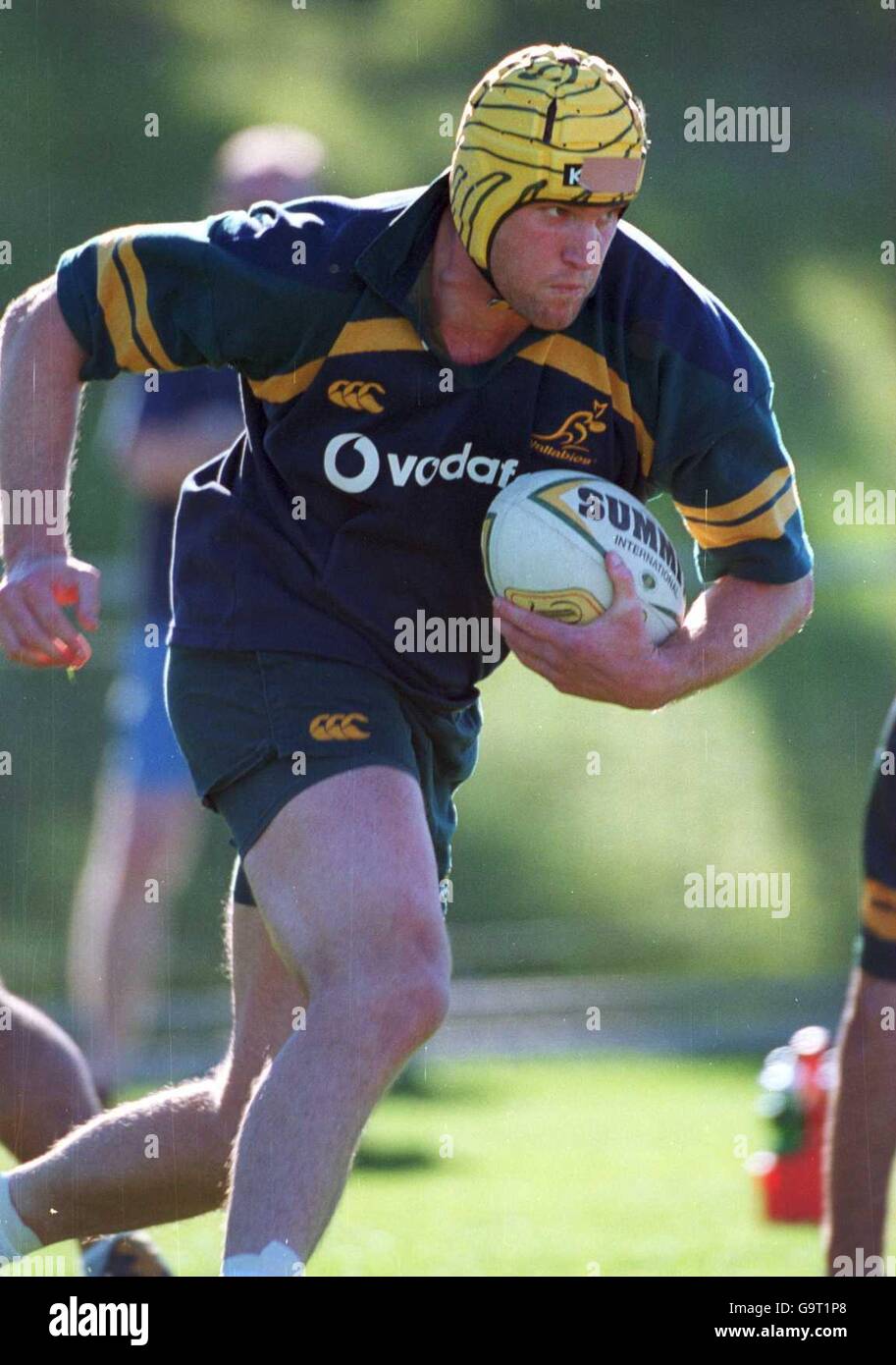 Wallabies training hi-res stock photography and images - Alamy