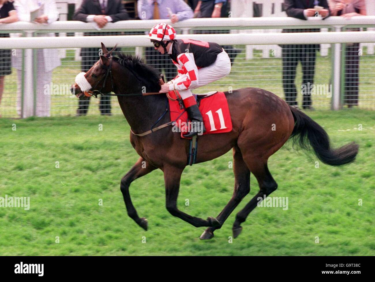 Steve carson on dunedin rascal hi-res stock photography and images - Alamy
