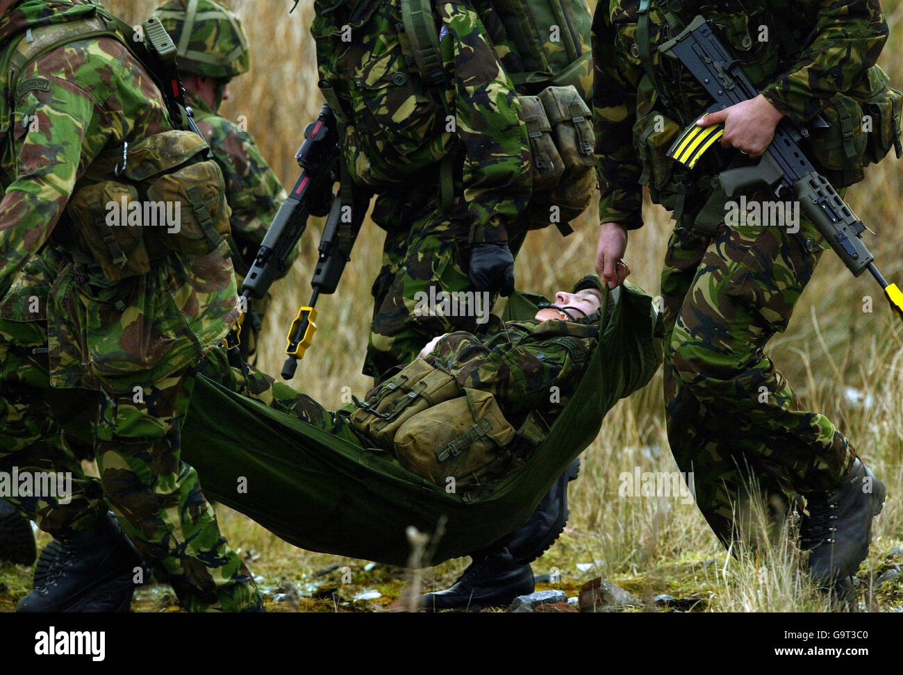 RAF squadron urged to grow beards Stock Photo - Alamy
