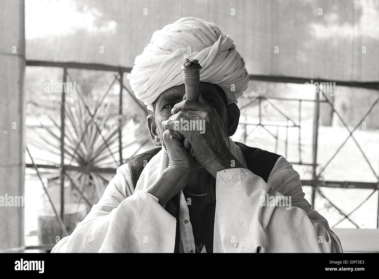 Pride of india hi-res stock photography and images - Alamy