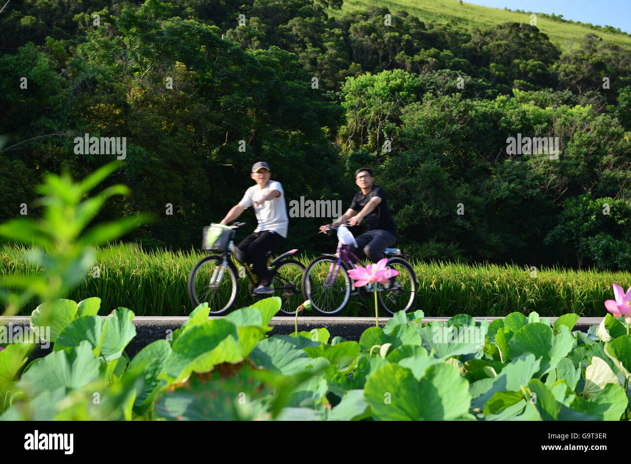 view of beauty Stock Photo - Alamy
