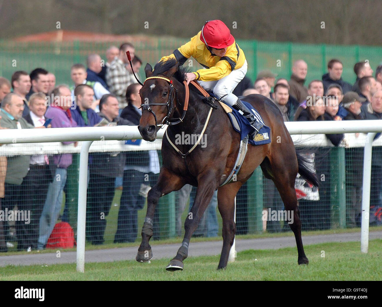 Horse racing newcastle racecourse hi-res stock photography and images ...