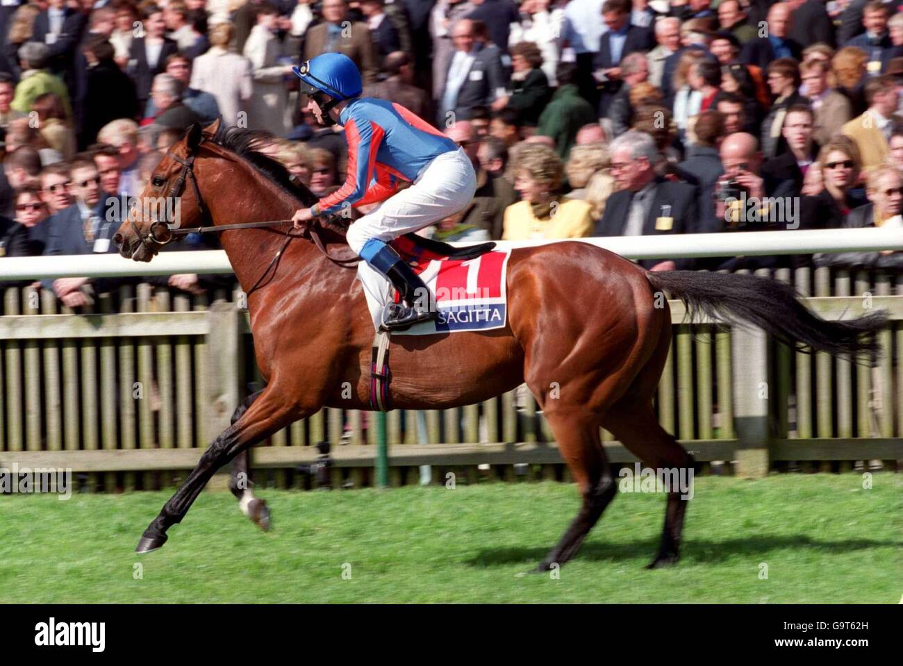 Paul scallan on darwin hi-res stock photography and images - Alamy