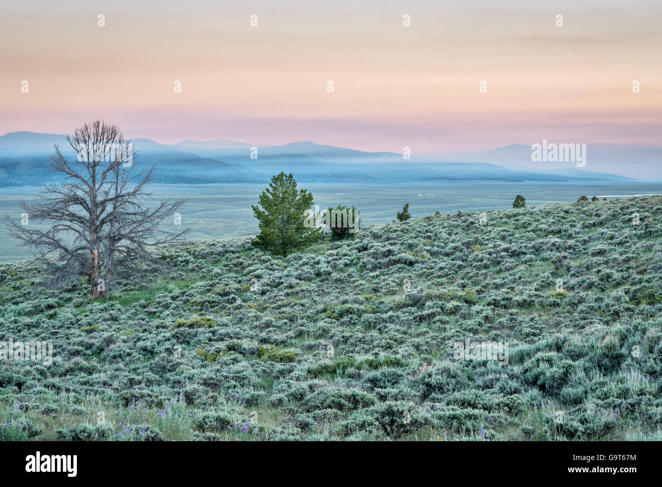 dawn over mountains covered by wildfire smoke - North Park, Colorado ...