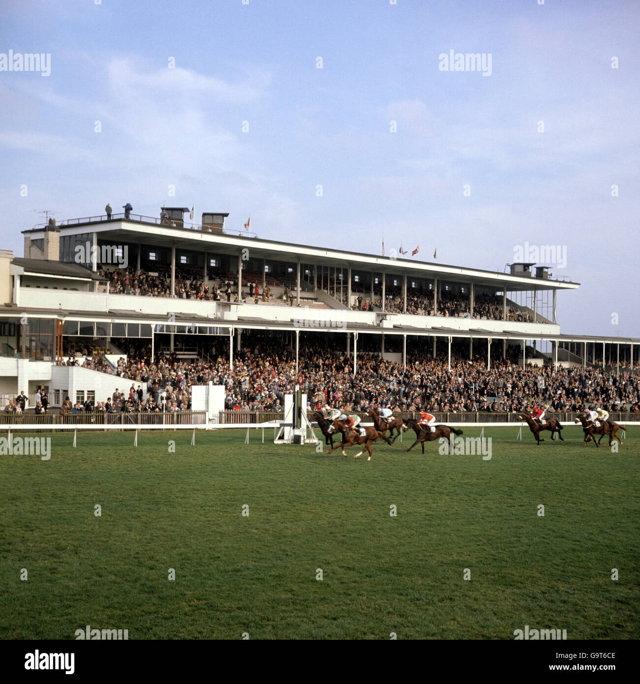 Newmarket races crowd hi-res stock photography and images - Alamy