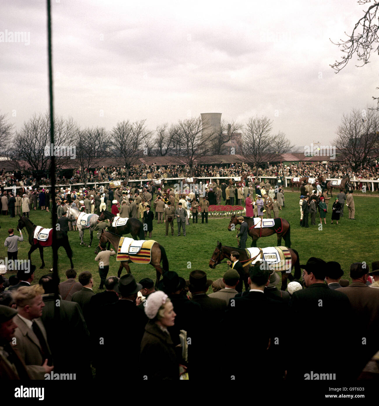 Full length parade ring hi-res stock photography and images - Alamy