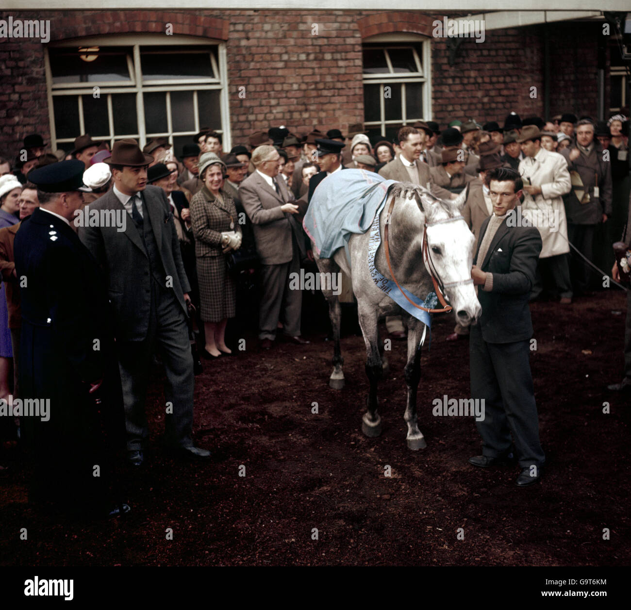 Silver horse hi-res stock photography and images - Alamy