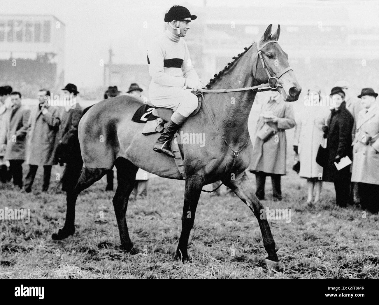 Arkle horse Black and White Stock Photos & Images - Alamy