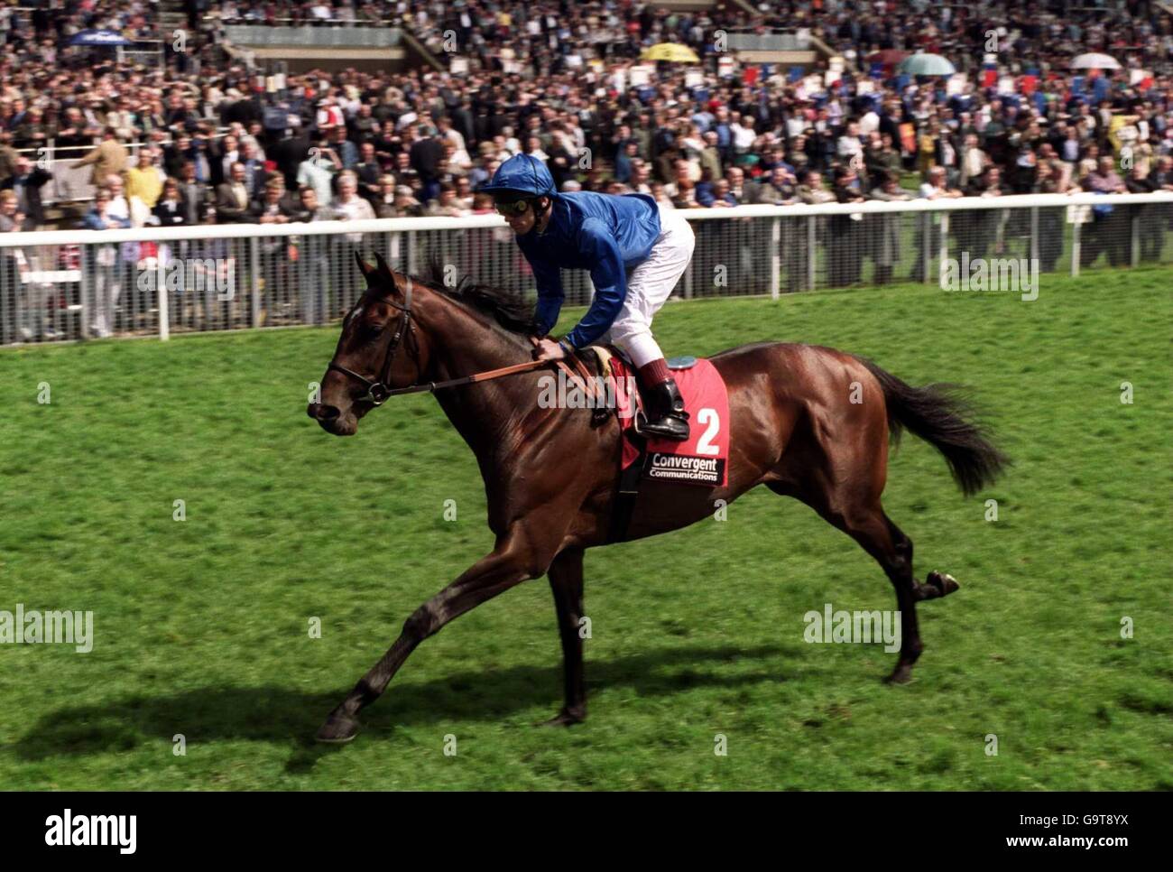 Horse Racing - York Races Stock Photo - Alamy