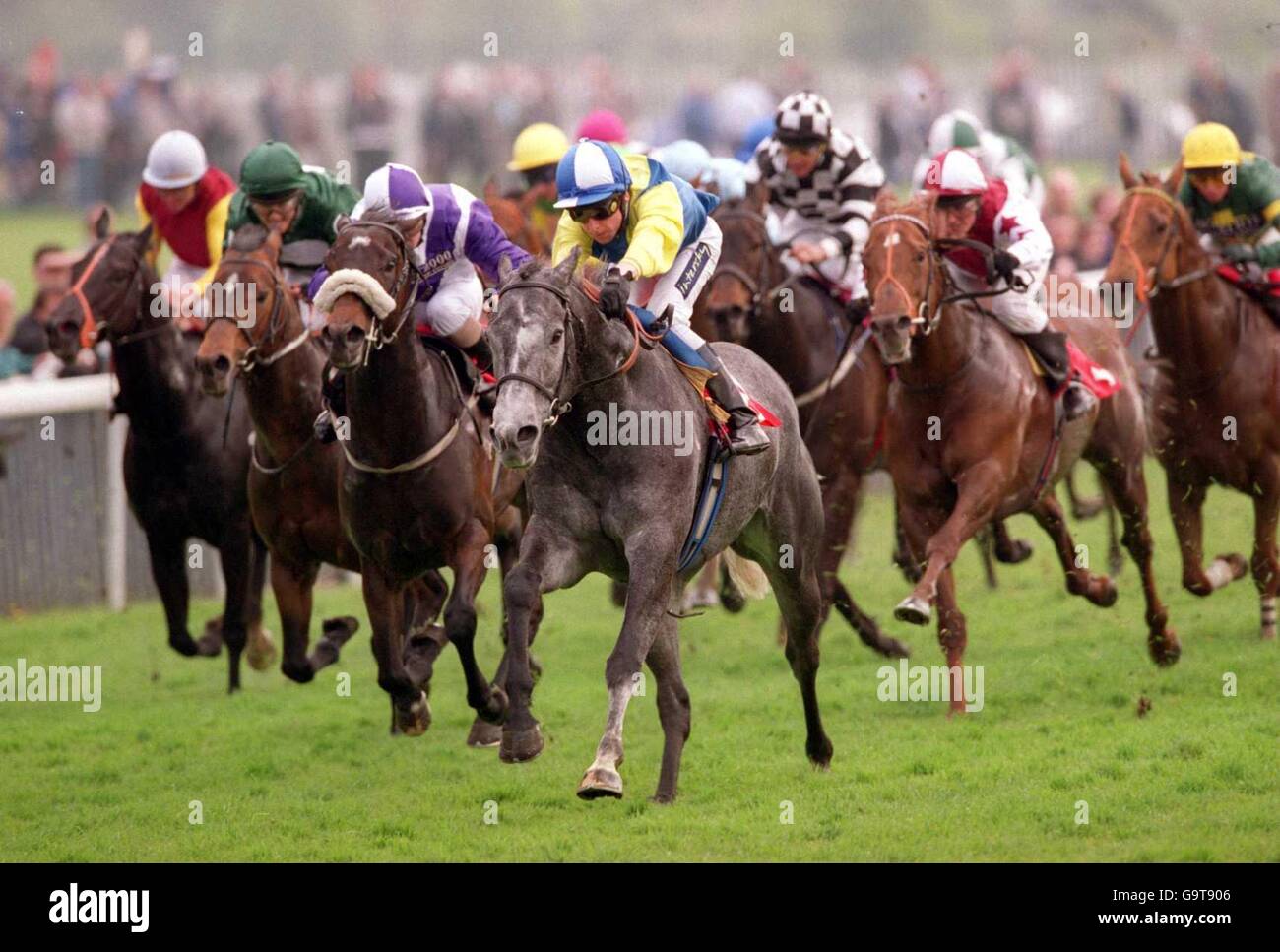 Horse Racing - York Races Stock Photo - Alamy