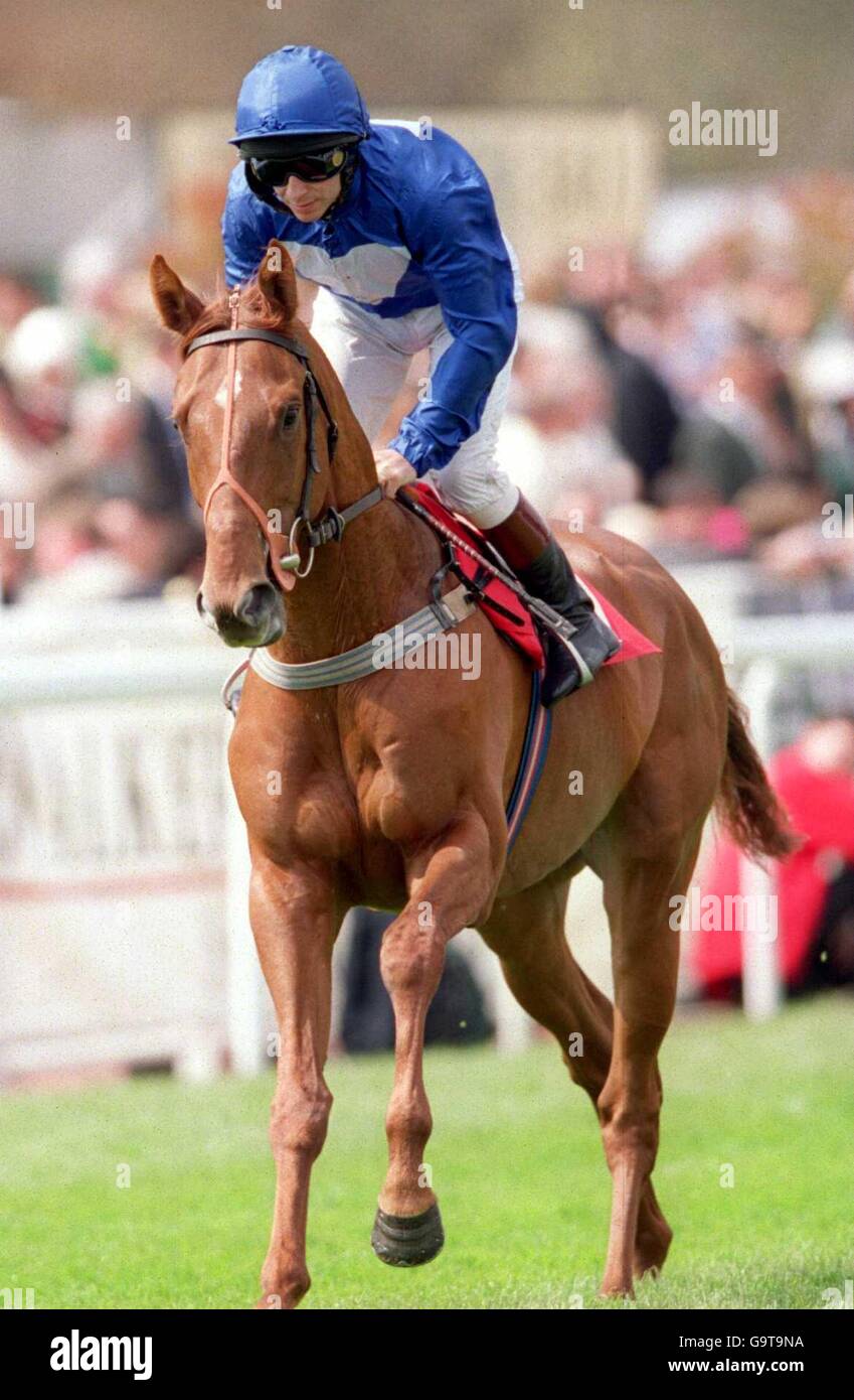 Richard quinn on persuade hi-res stock photography and images - Alamy