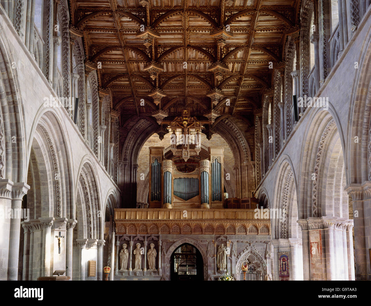 St David's Cathedral showing interior of nave: wooden ceiling ...