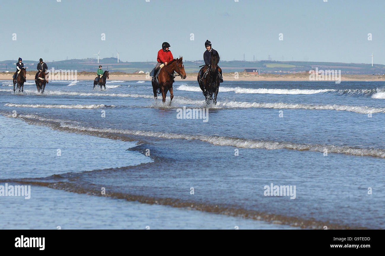 Joes Edge (right) and jockey Graham Lee with Spring Breeze and jockey ...