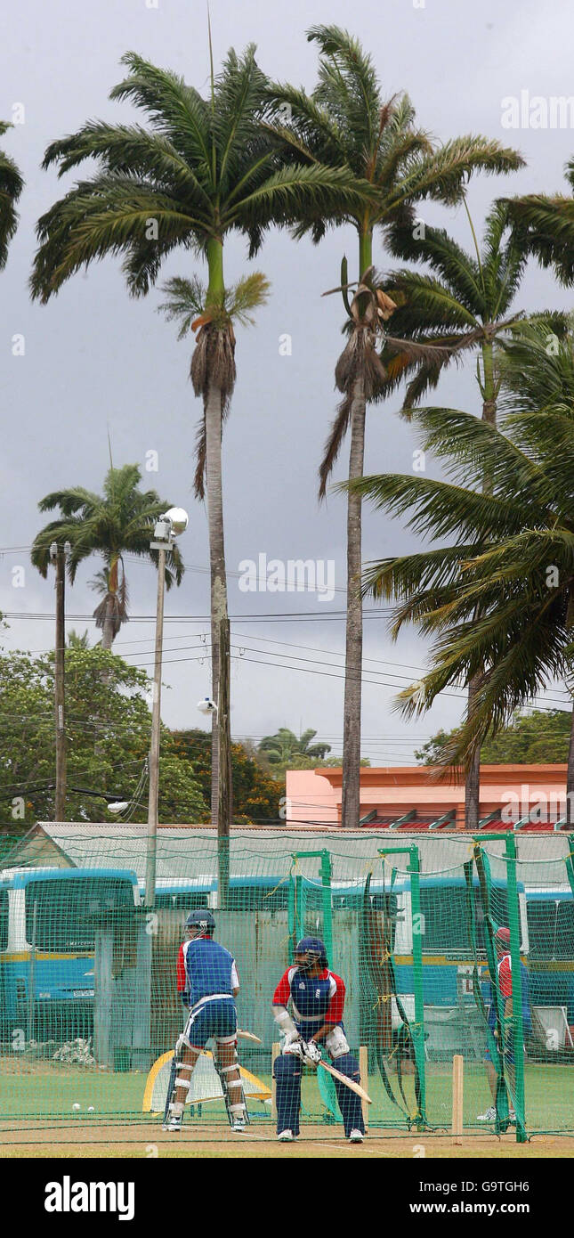 Full length action bat net helmet batting practice mangsb hi-res stock ...