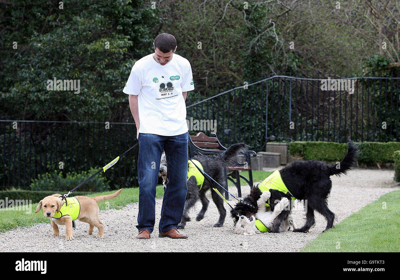 Former Republic of Ireland and Manchester United footballer Roy Keane ...