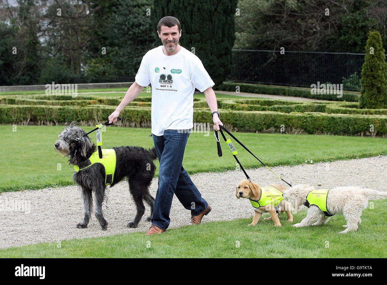 Former Republic of Ireland and Manchester United footballer Roy Keane ...