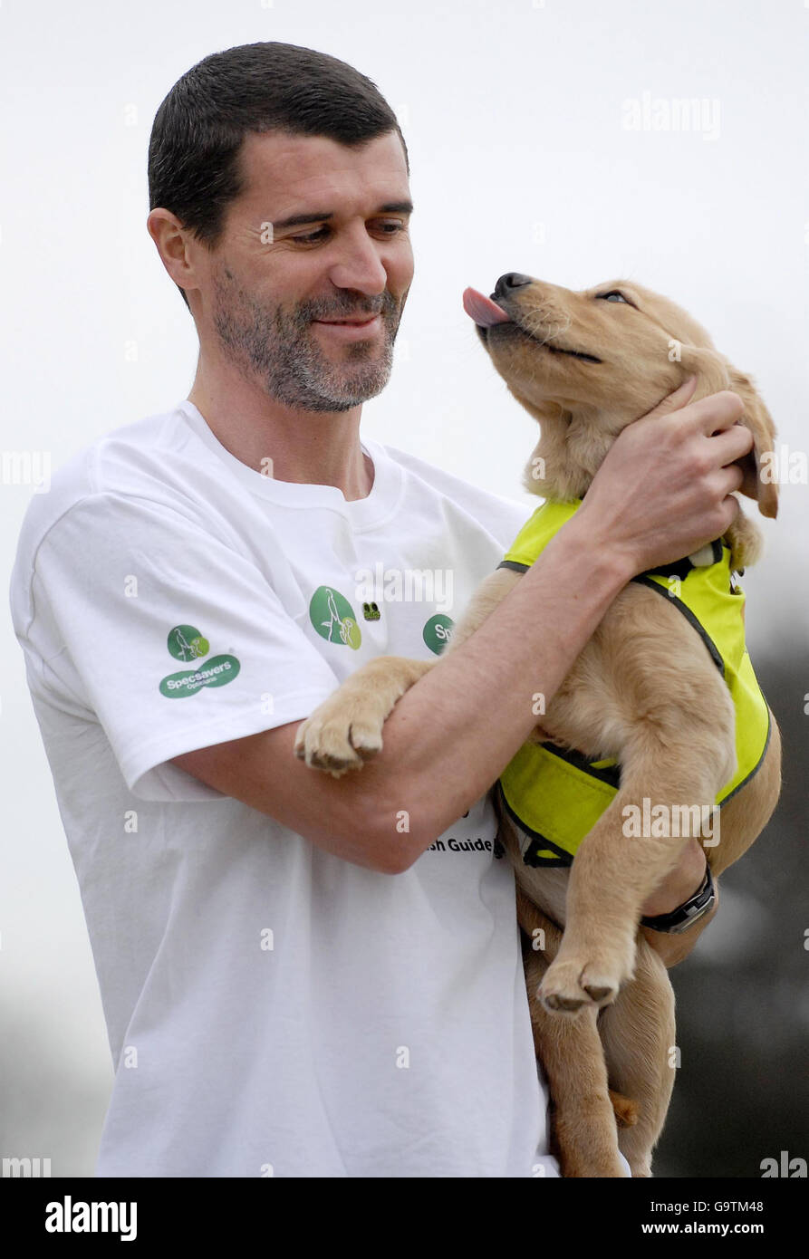 Former Republic of Ireland and Manchester United footballer Roy Keane ...