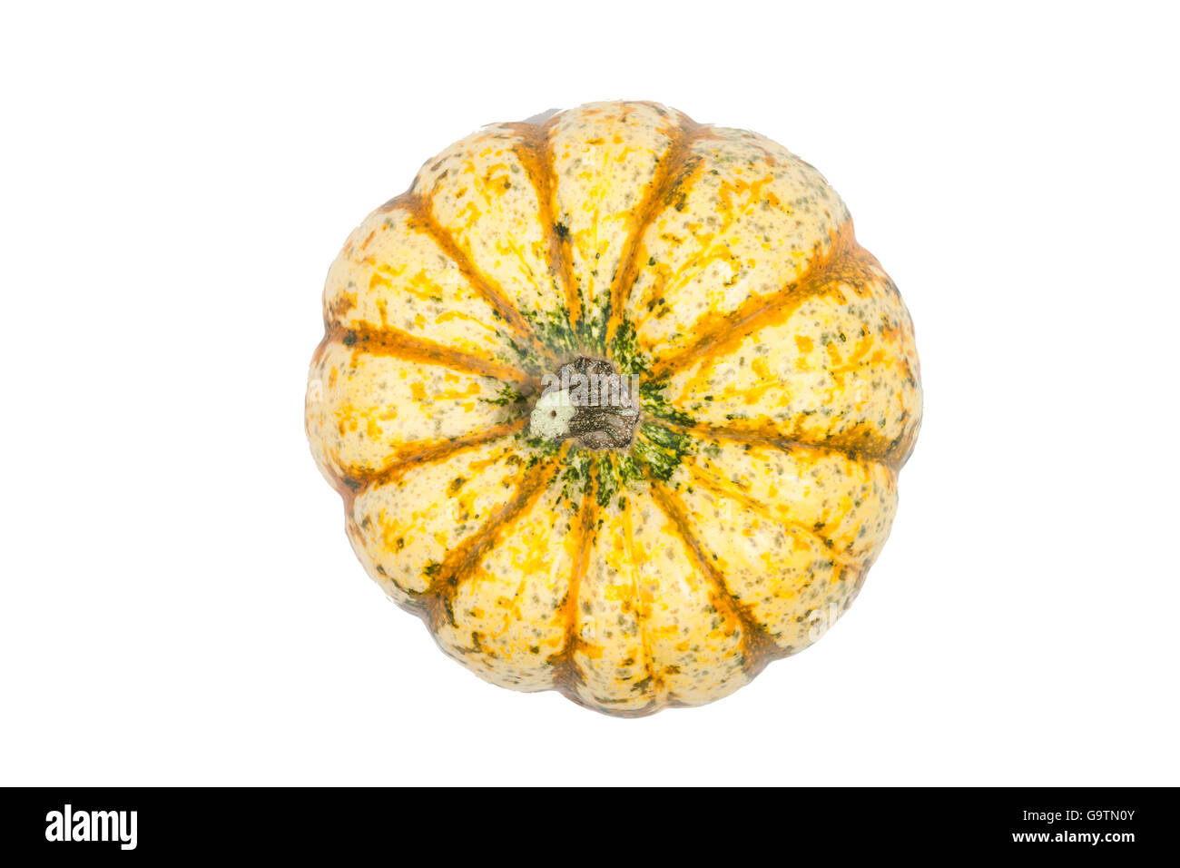 Yellow calabash top view isolated Stock Photo - Alamy